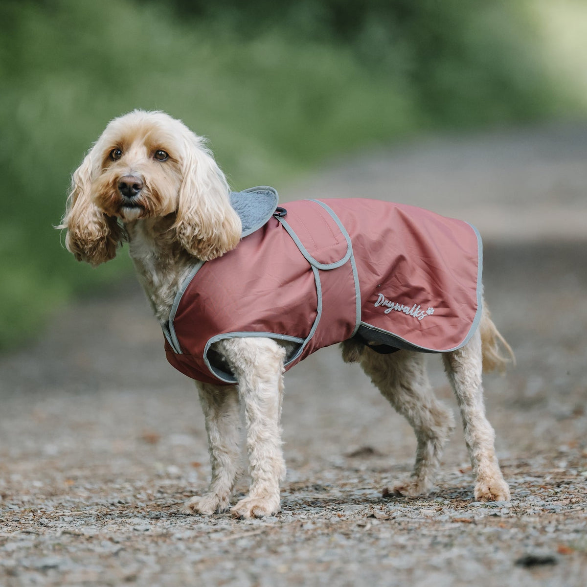 Waterproof Dog Coat | Chestnut – Drywalks