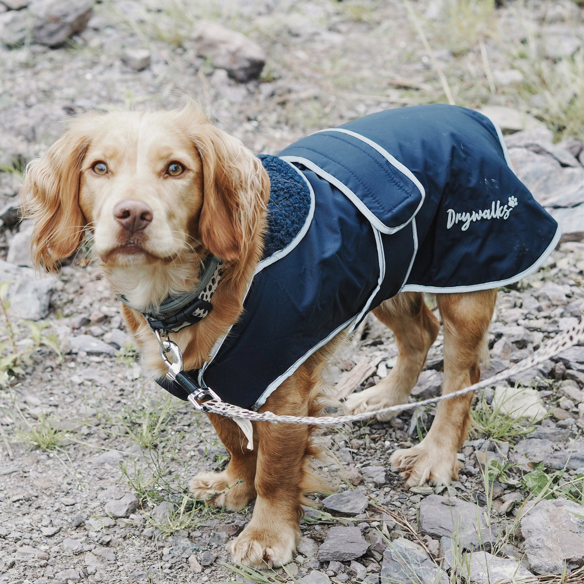 Drywalks | Waterproof Dog Coat - Fleece Lined & Breathable | Navy Blue